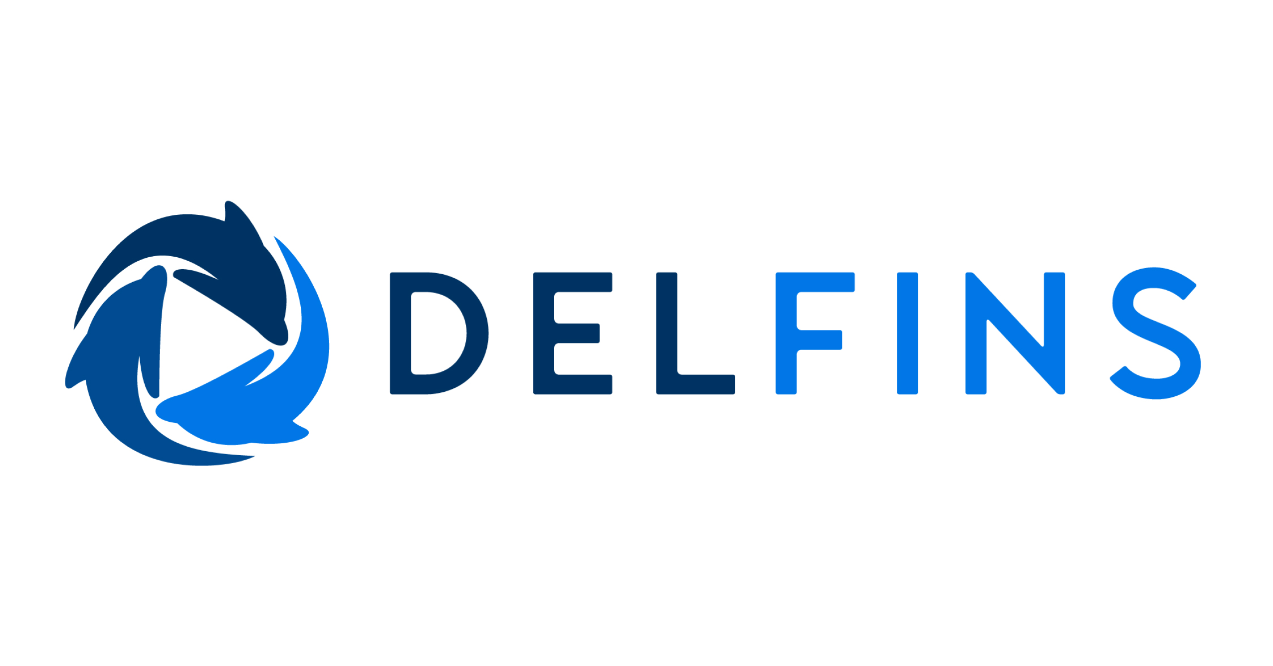 DELFINS - Independent financial advice